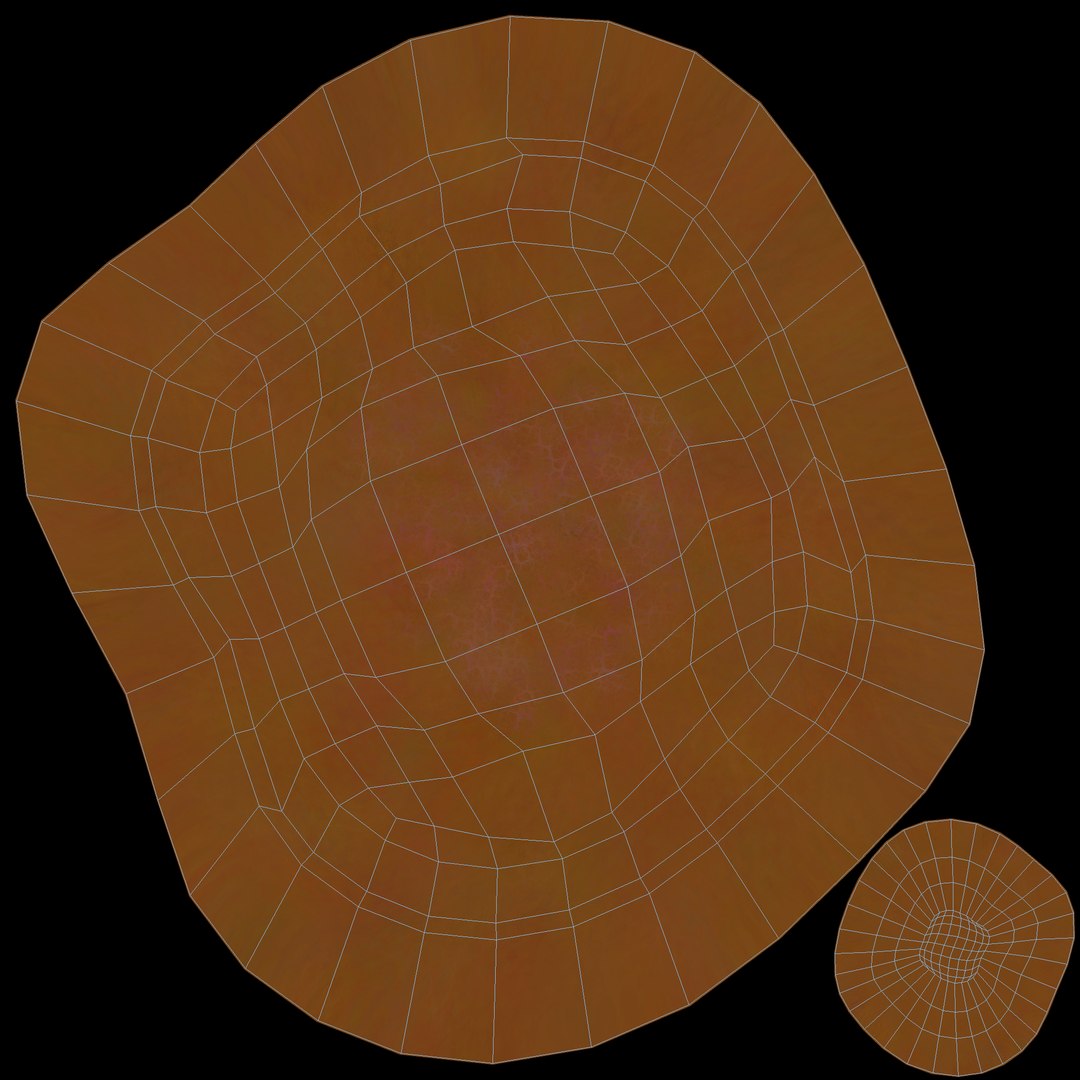 3D Staphylococcus Aureus Bacteria Model - TurboSquid 1294243