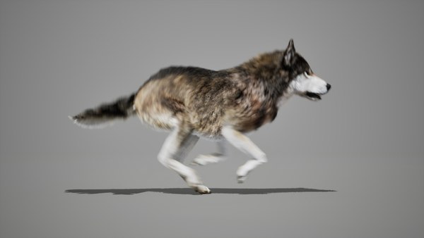 modelo 3d Proyecto animado UNREAL Wolf Pack - TurboSquid 2292121