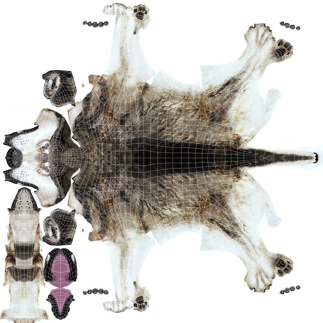 Wolf Pack Animated UNREAL Project Model - TurboSquid 2292121