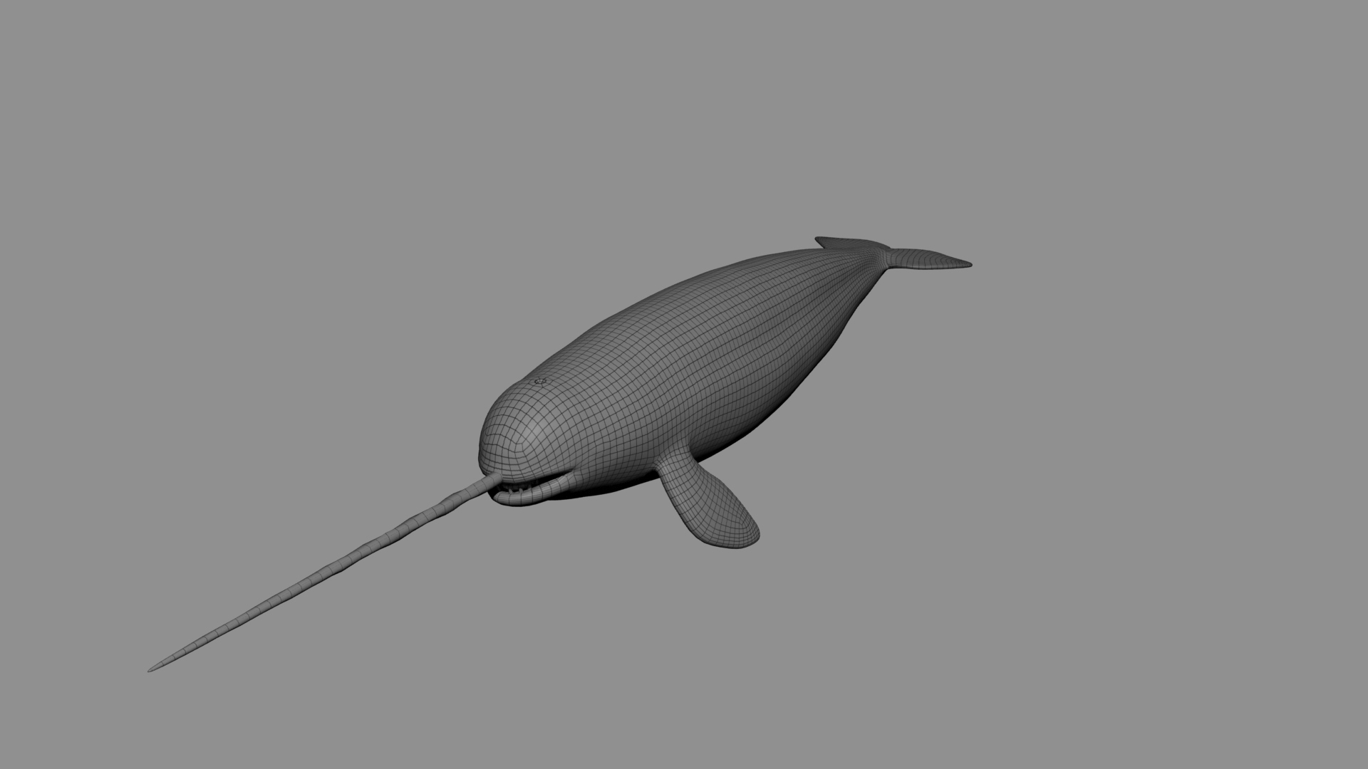 3D Narwhal - TurboSquid 2019193