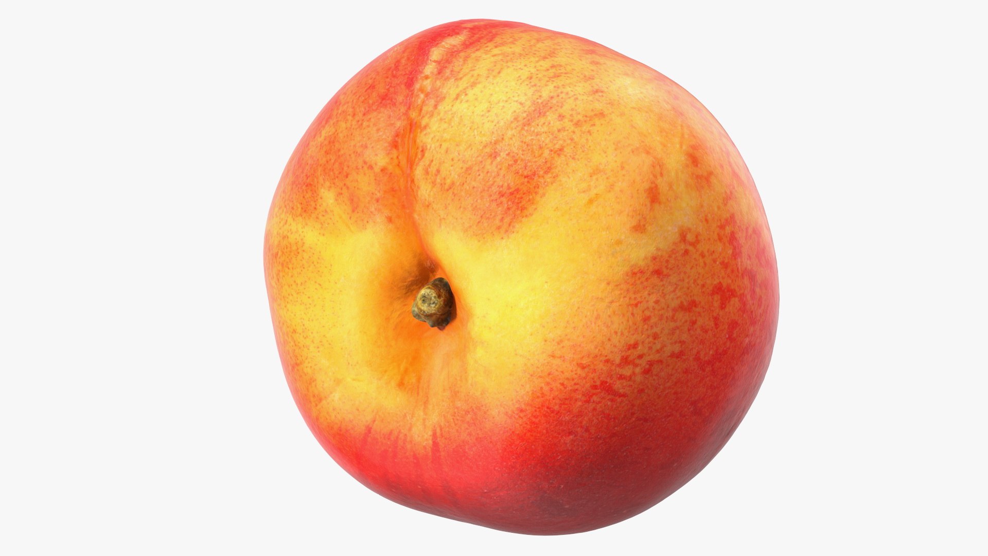 Red Peach Fur Model - TurboSquid 1943725