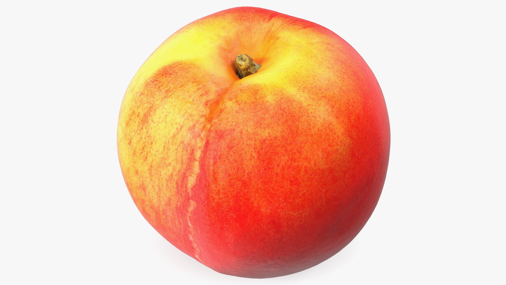 Red Peach Fur Model - TurboSquid 1943725