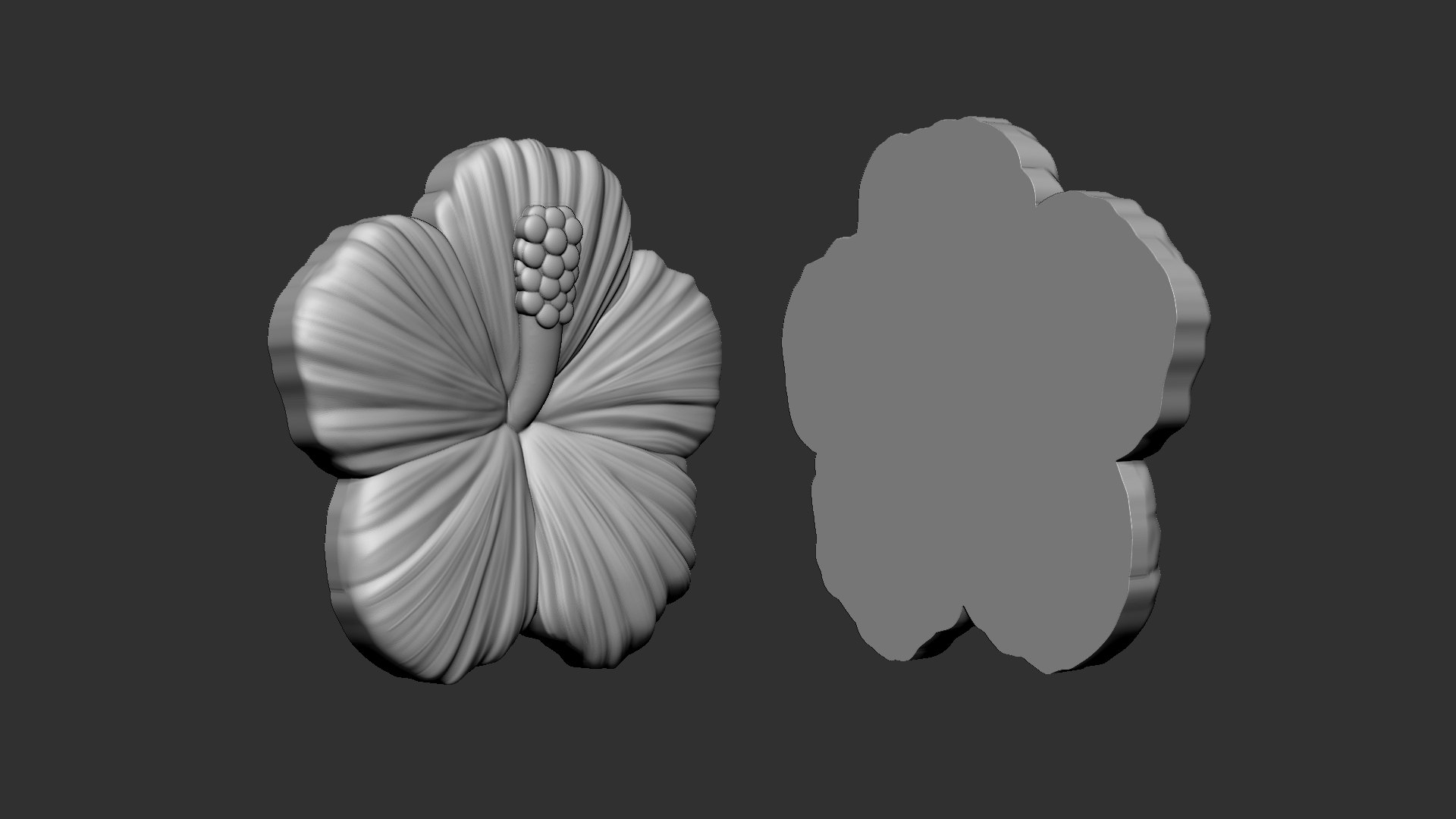 Hibiscus Flower Bas Relief 3D - TurboSquid 2367294