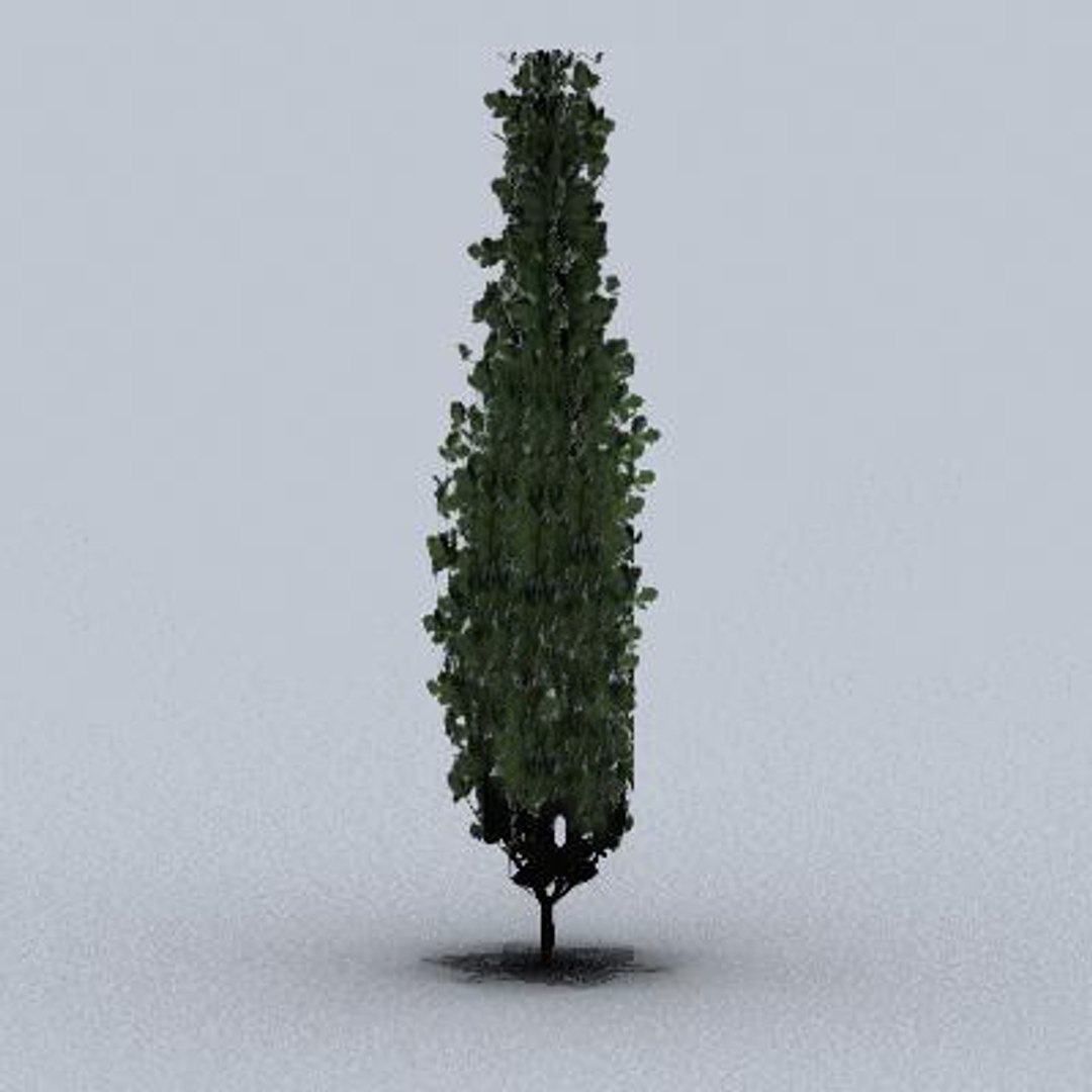 Small Trees 3ds