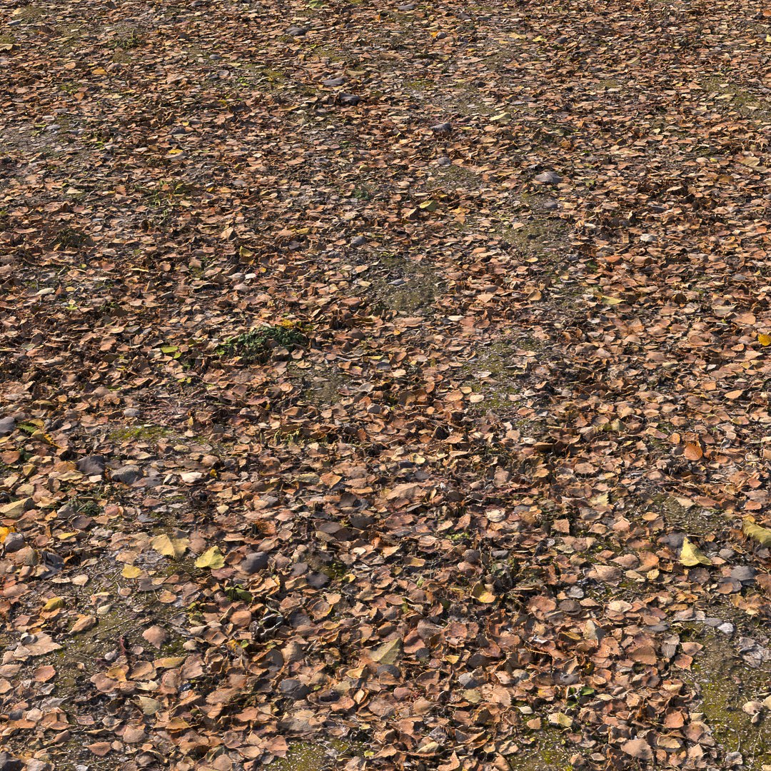 3D Autumn Leaves Model - TurboSquid 1889482