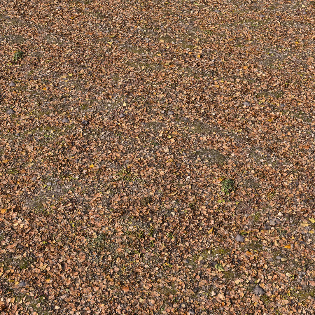 3D Autumn Leaves Model - TurboSquid 1889482