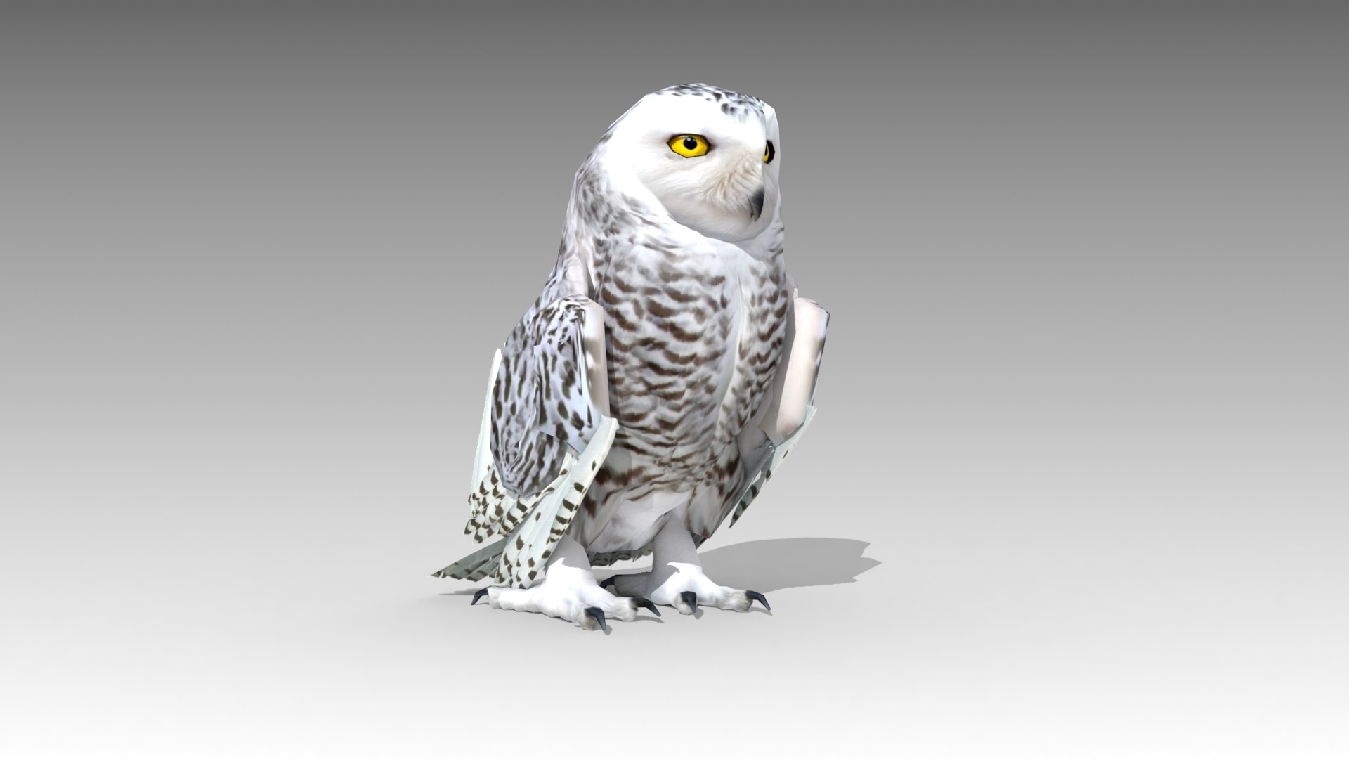 3D Snowy Owl - TurboSquid 1254421