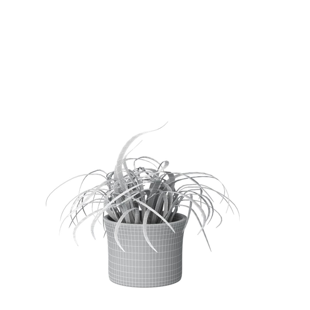 3d Plant Materials Model