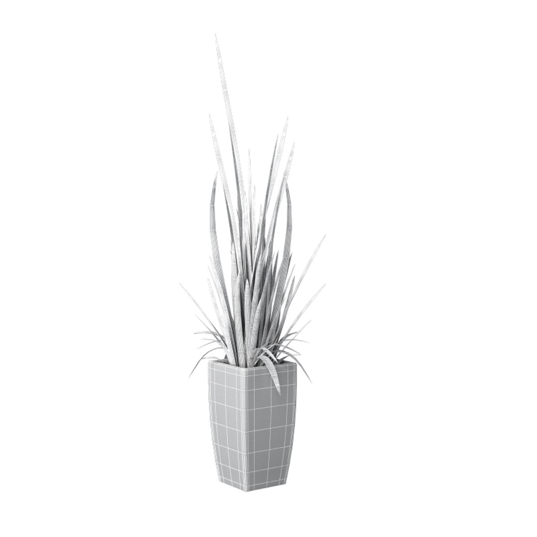 3d Plant Materials Model