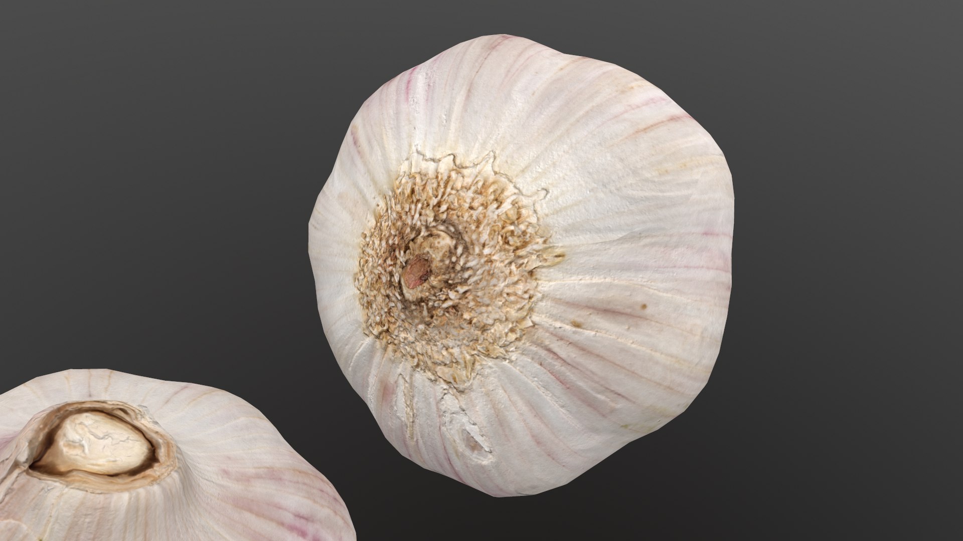 Photorealistic Garlic 3D Scan AR VR PBR Lowpoly With Game Ready 3d ...