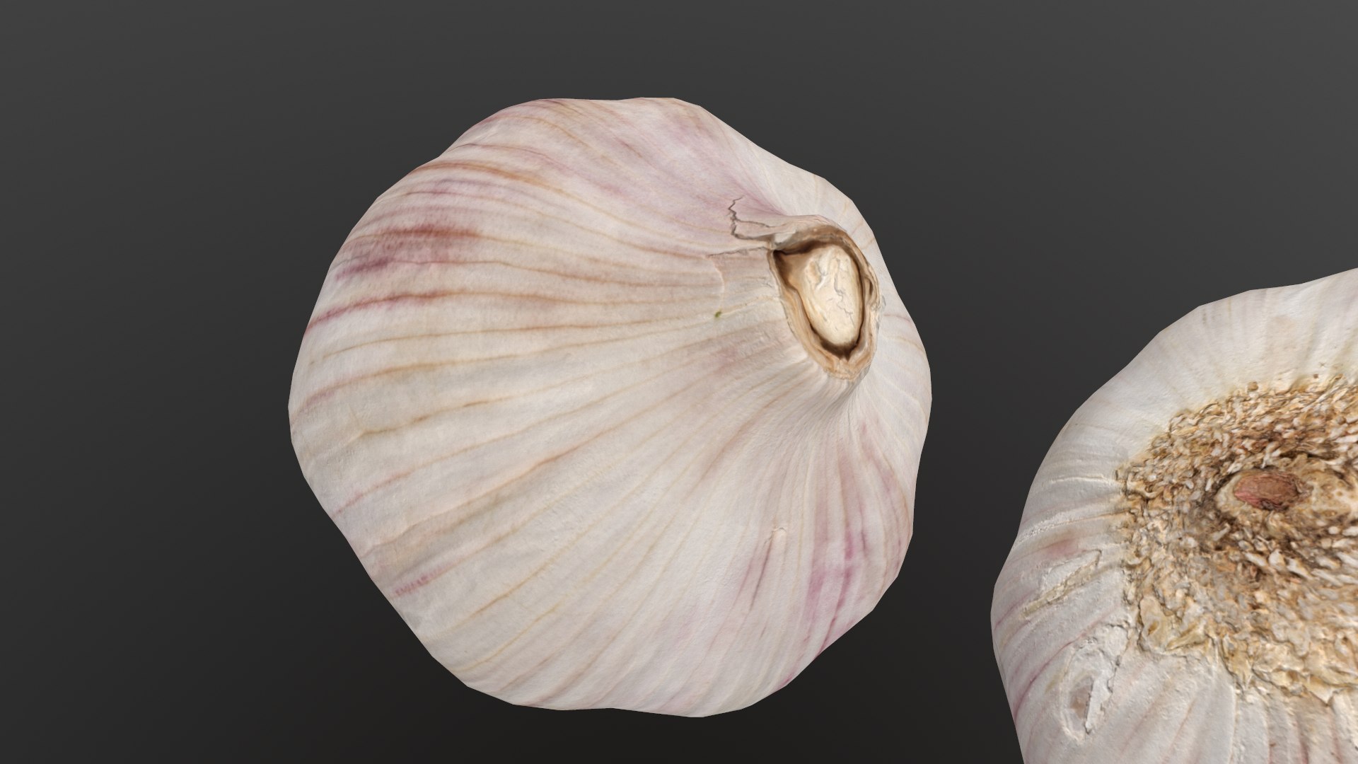 Photorealistic Garlic 3D Scan AR VR PBR Lowpoly With Game Ready 3d ...