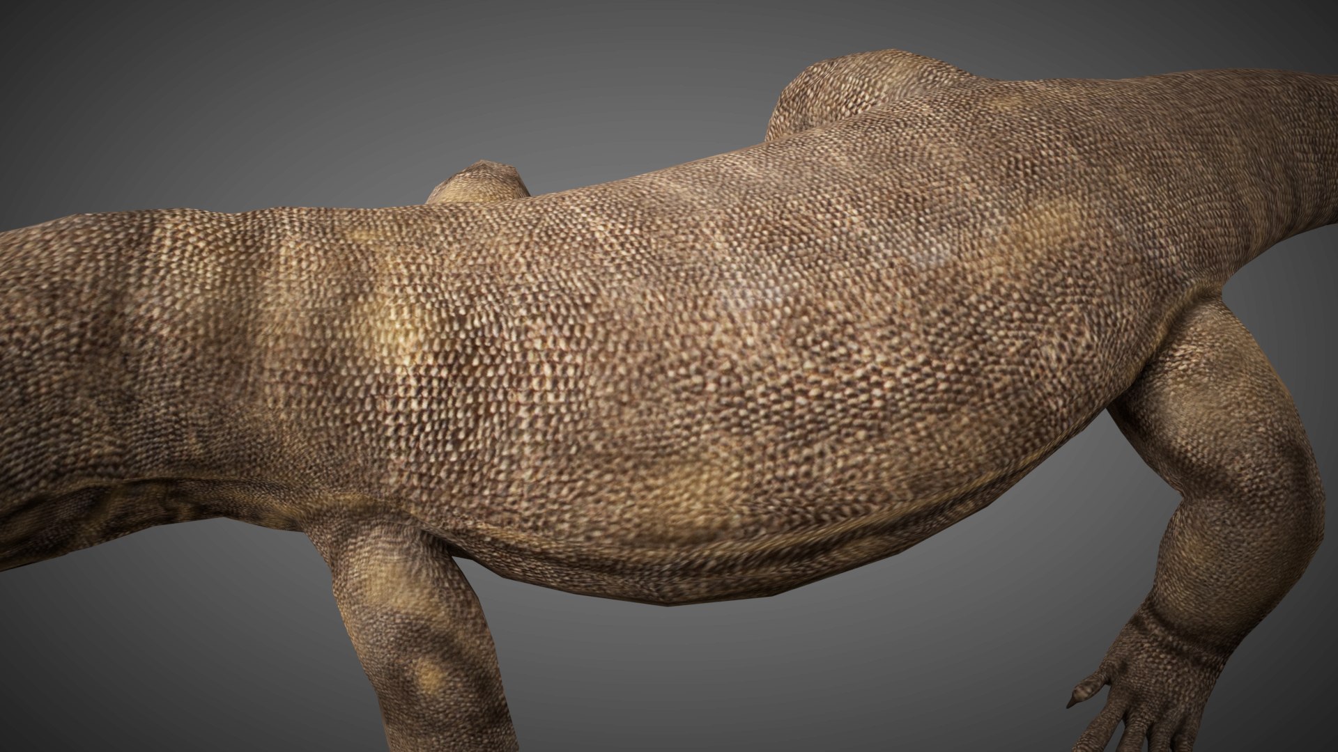 3D Komodo Dragon Rigged Model - TurboSquid 1582642