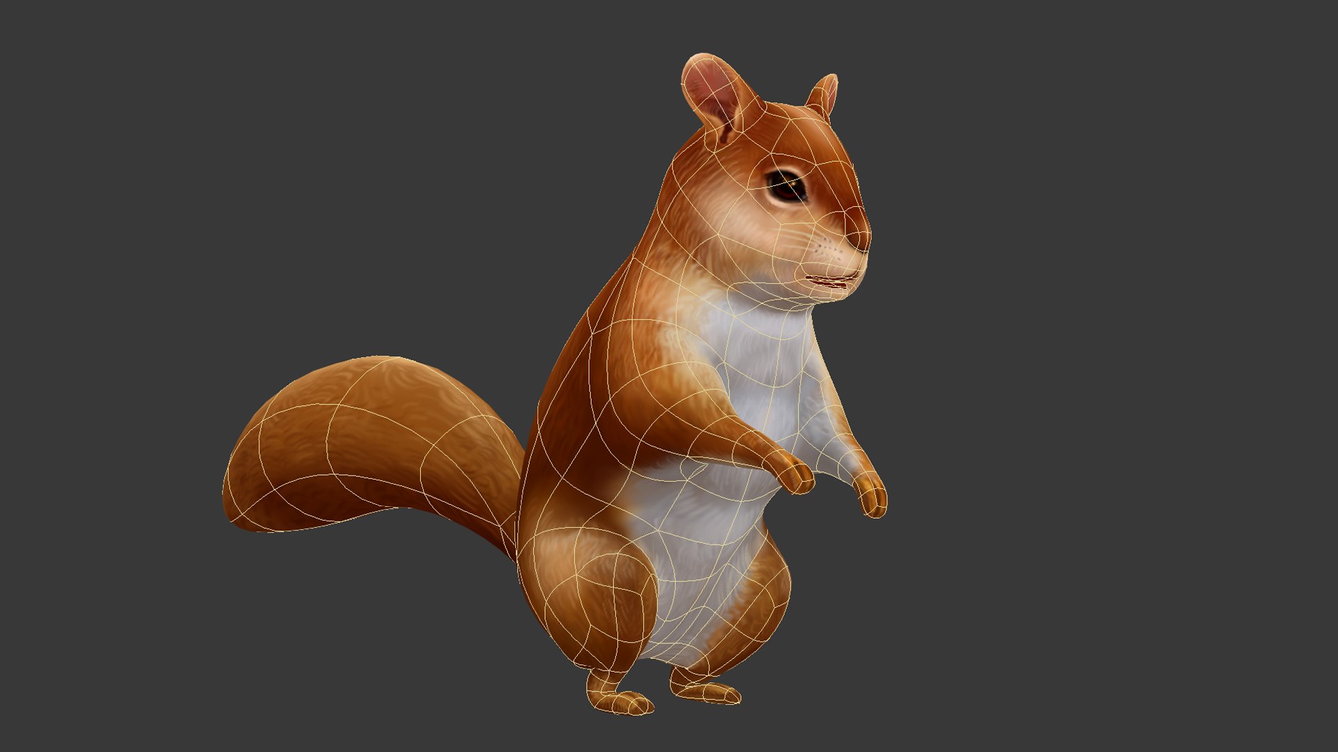 3D Squirrel Model - TurboSquid 2176011