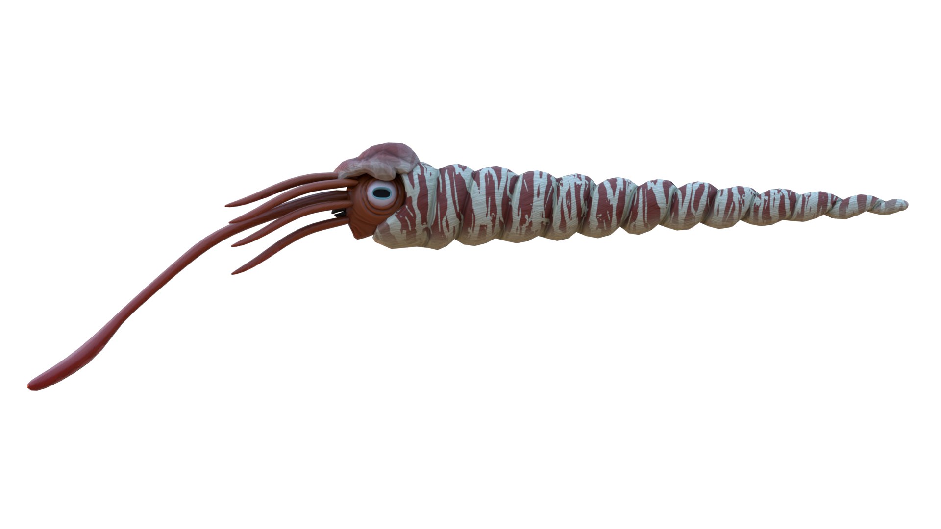 Nautiloid Rigged 3D Model - TurboSquid 1530433
