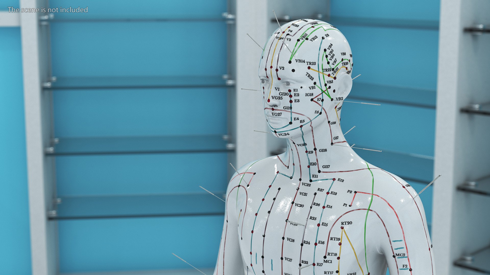 3D Male Acupuncture Anatomy Chart With Needles - TurboSquid 2253638