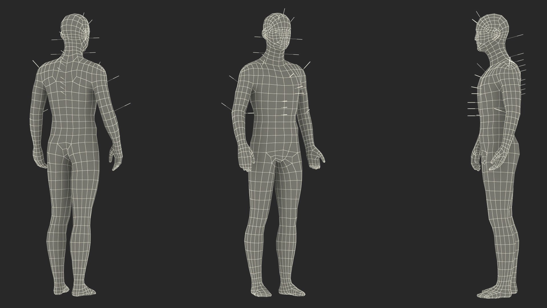 3D Male Acupuncture Anatomy Chart With Needles - TurboSquid 2253638