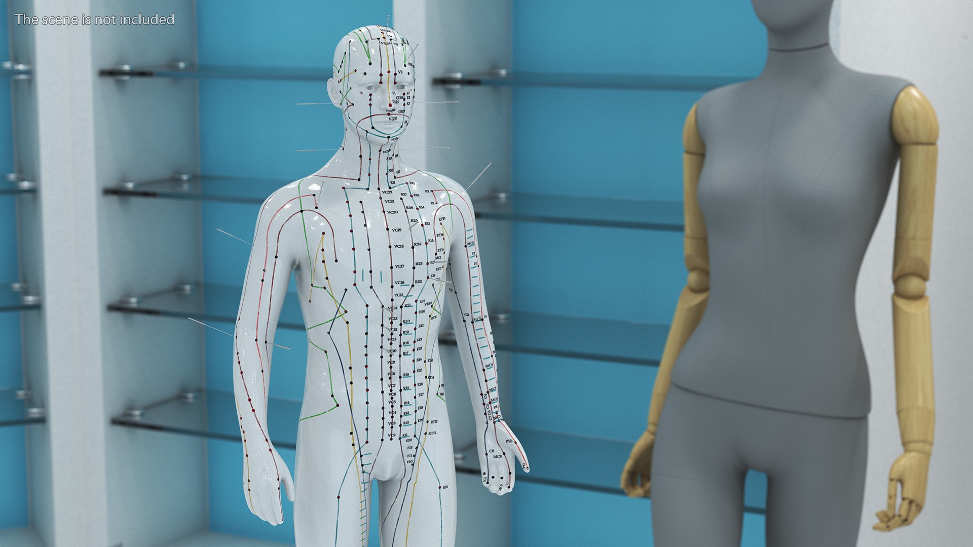 3D Male Acupuncture Anatomy Chart With Needles - TurboSquid 2253638
