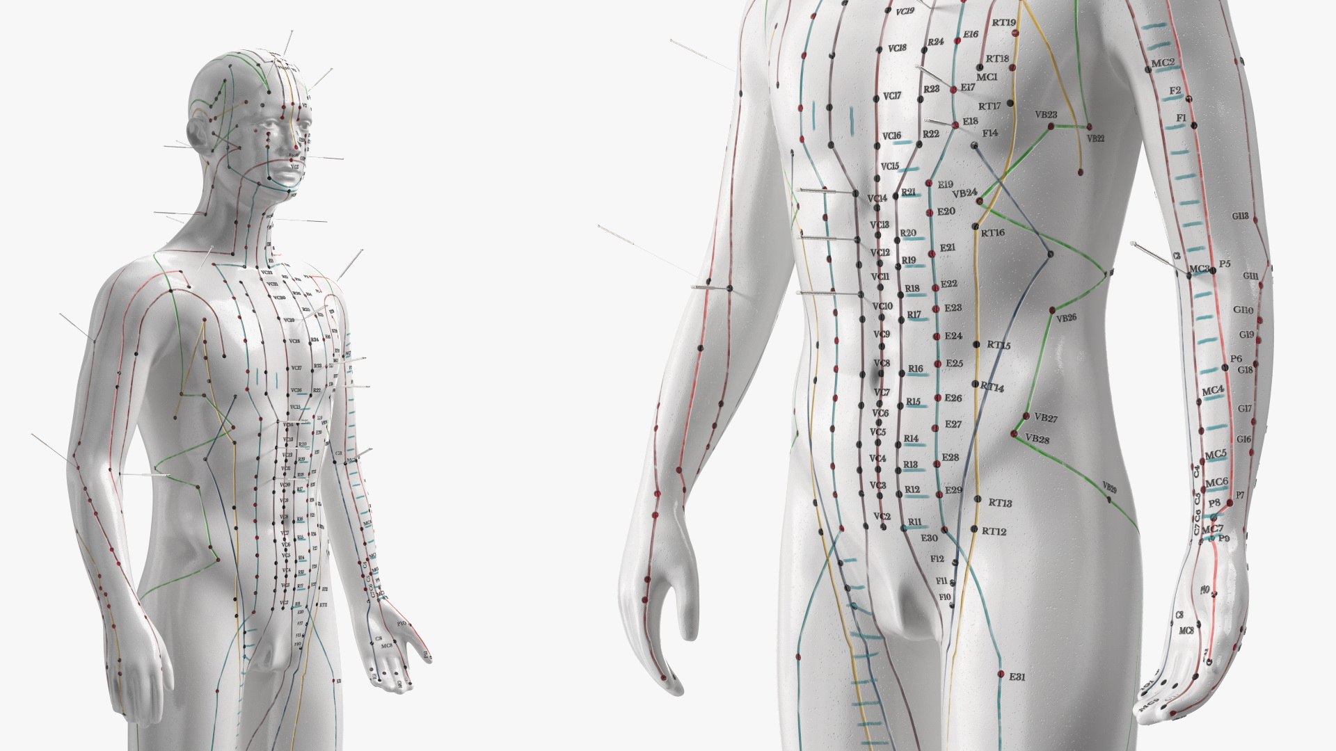 3D Male Acupuncture Anatomy Chart With Needles - TurboSquid 2253638