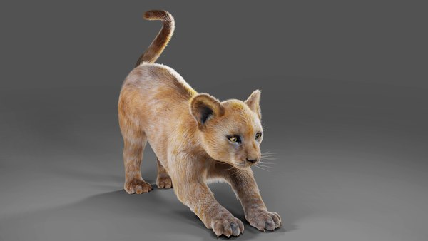 modelo 3d León bebé de piel montado en Blender - TurboSquid 2024121