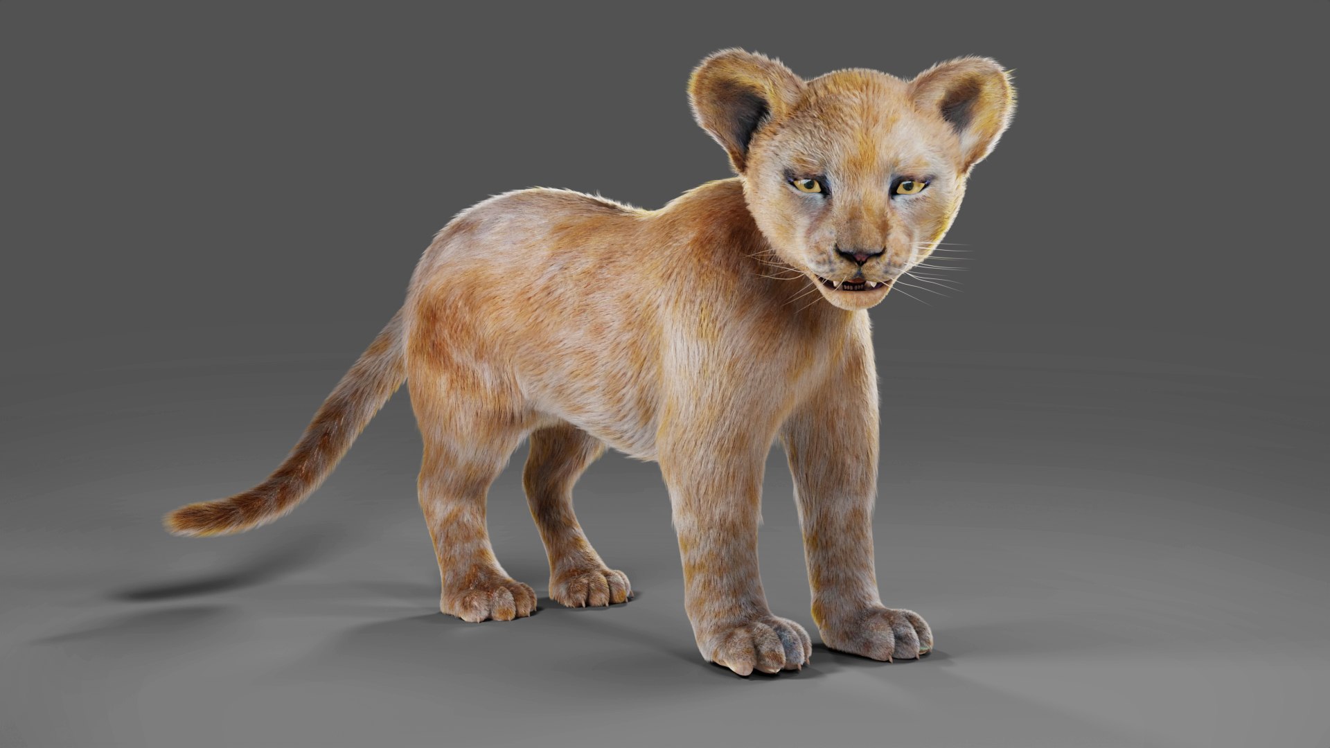 Fur Baby Lion Rigged In Blender 3D - TurboSquid 2024121