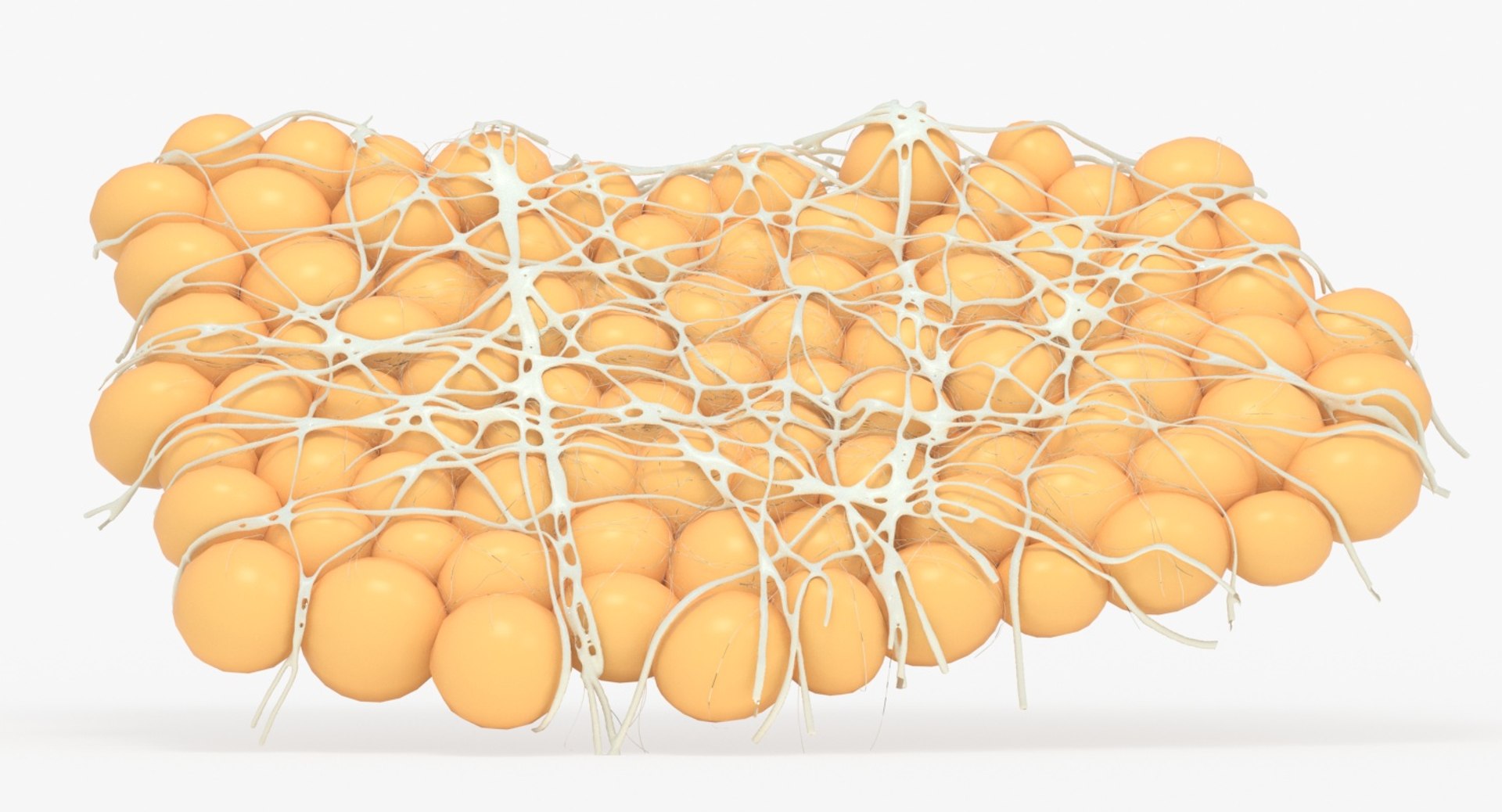 3D Fat Cells - TurboSquid 1365143