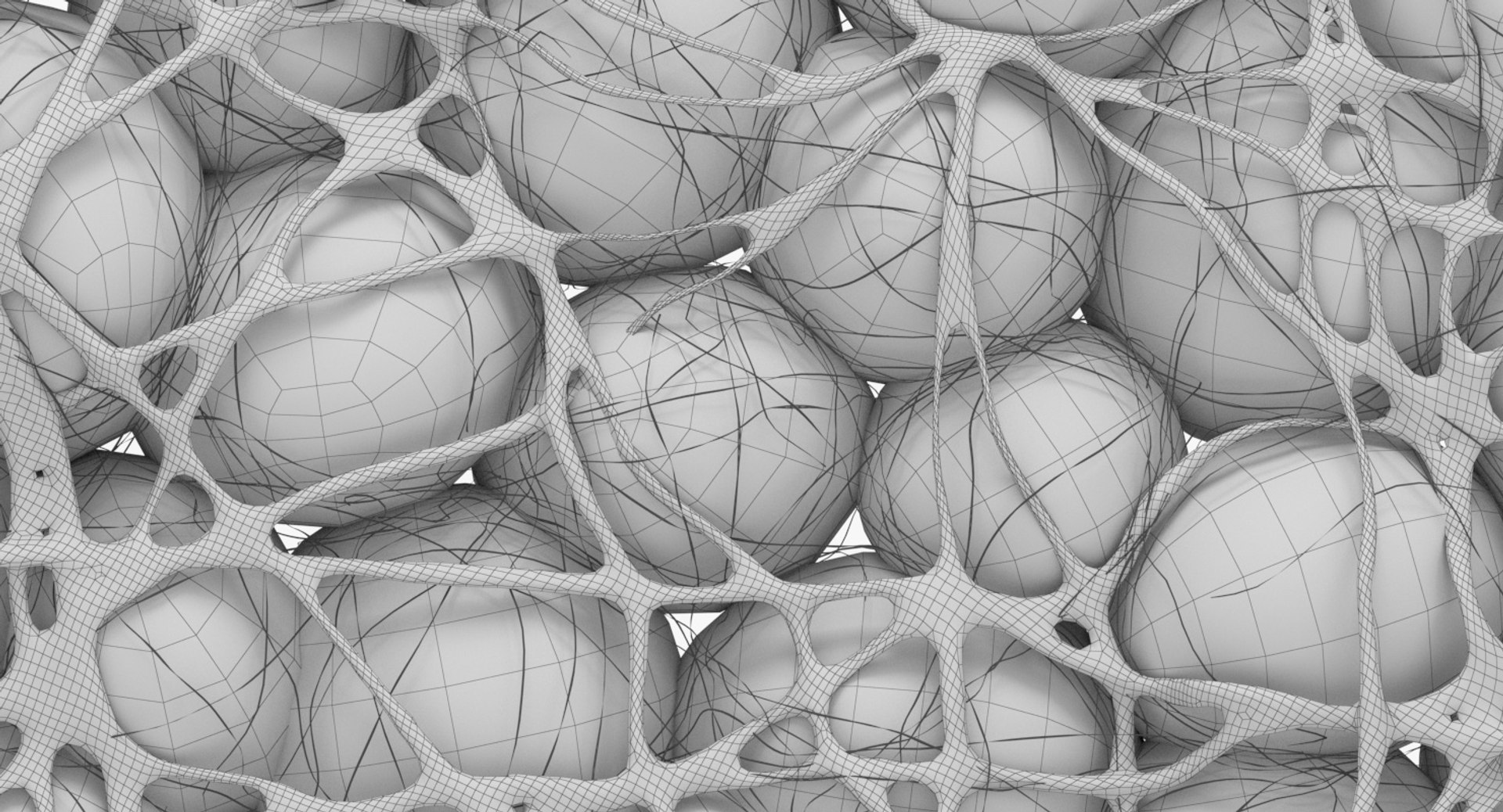 3D Fat Cells - TurboSquid 1365143