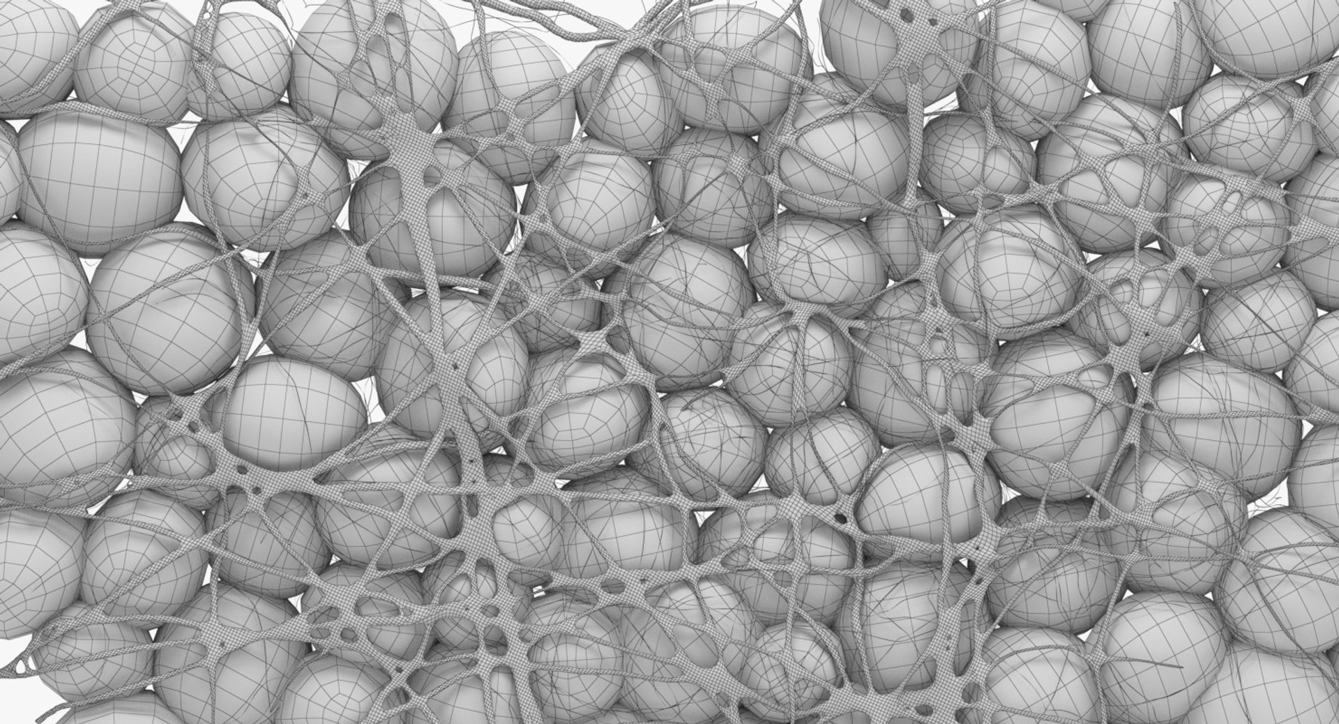 3D Fat Cells - TurboSquid 1365143