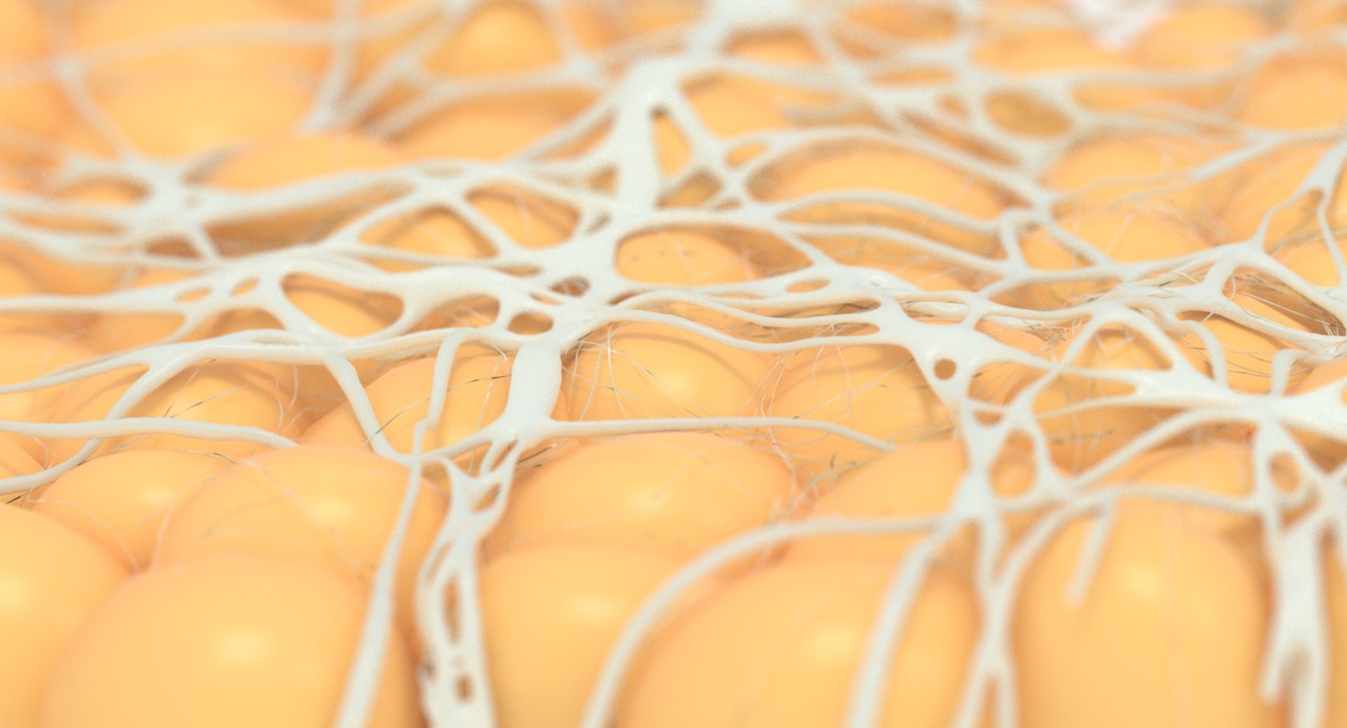 3D Fat Cells - TurboSquid 1365143