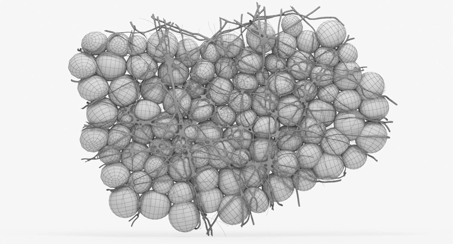 3D Fat Cells - TurboSquid 1365143