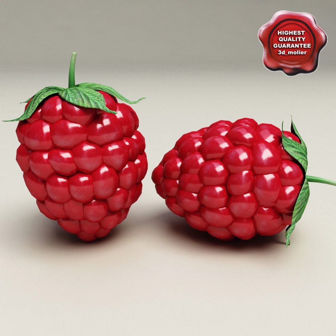 3d Raspberry Modelled Model