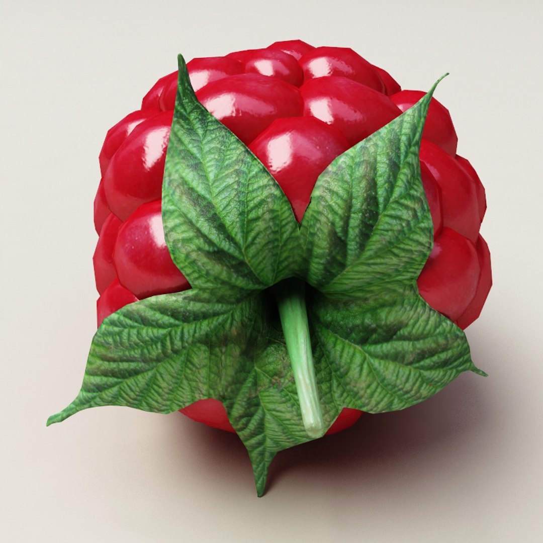 3d Raspberry Modelled Model