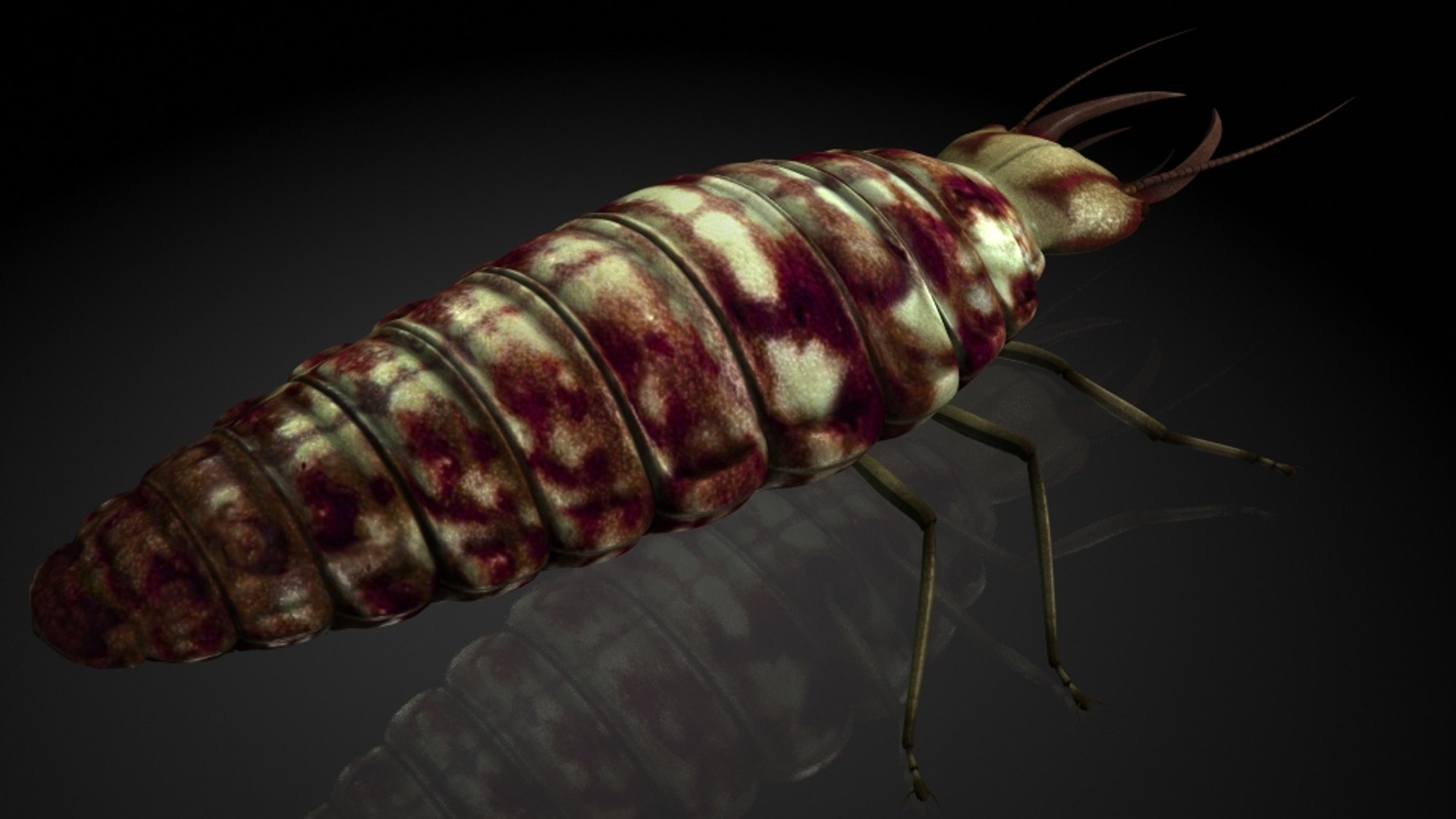 3D Lacewing Larvae - TurboSquid 1313611