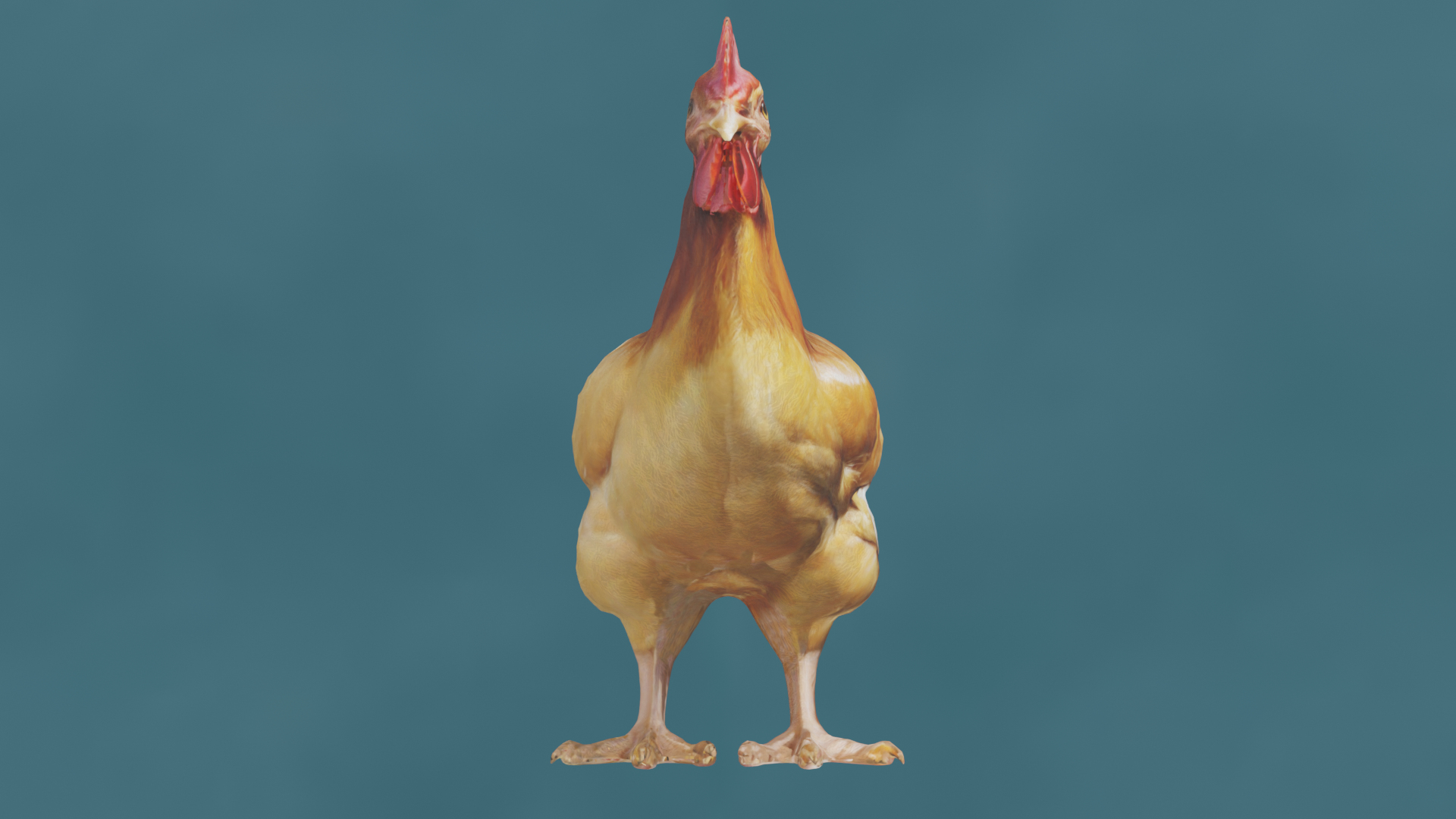 3D Chicken Model - TurboSquid 2377970