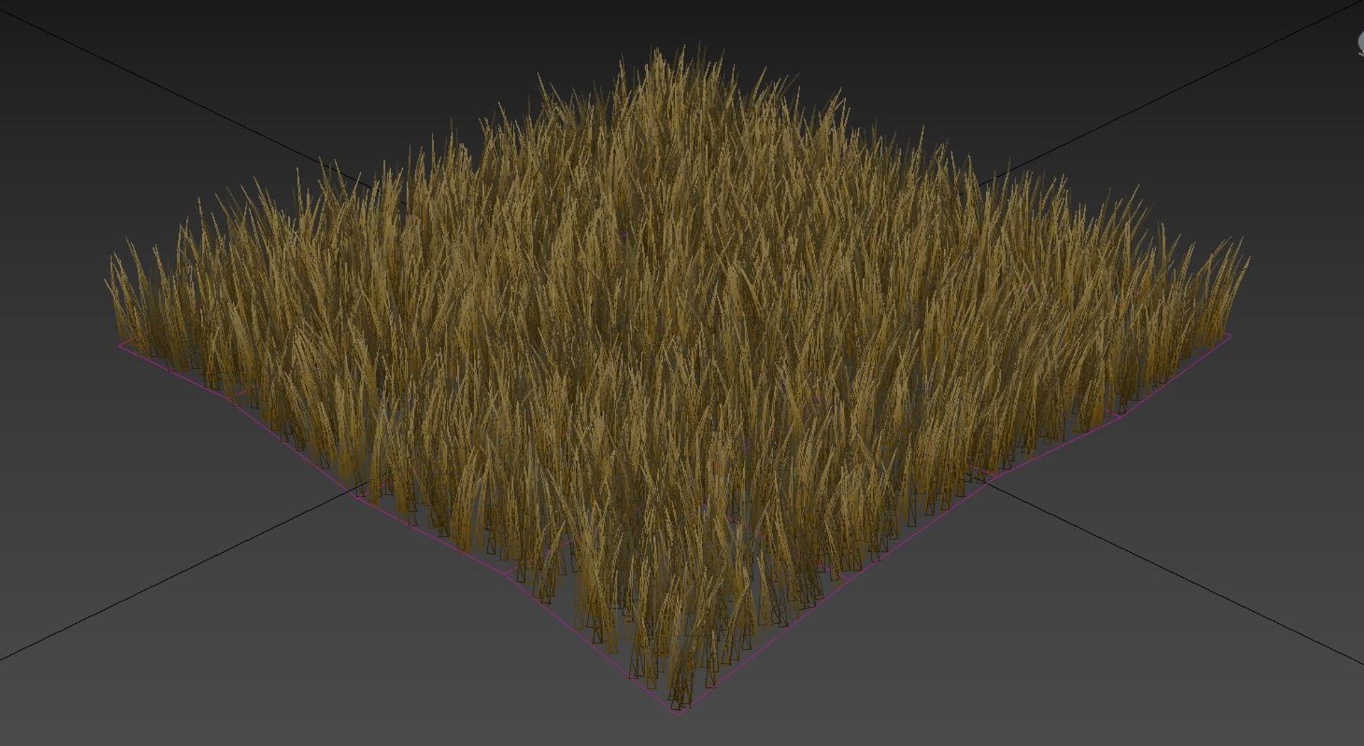 Green Grass 3d Max