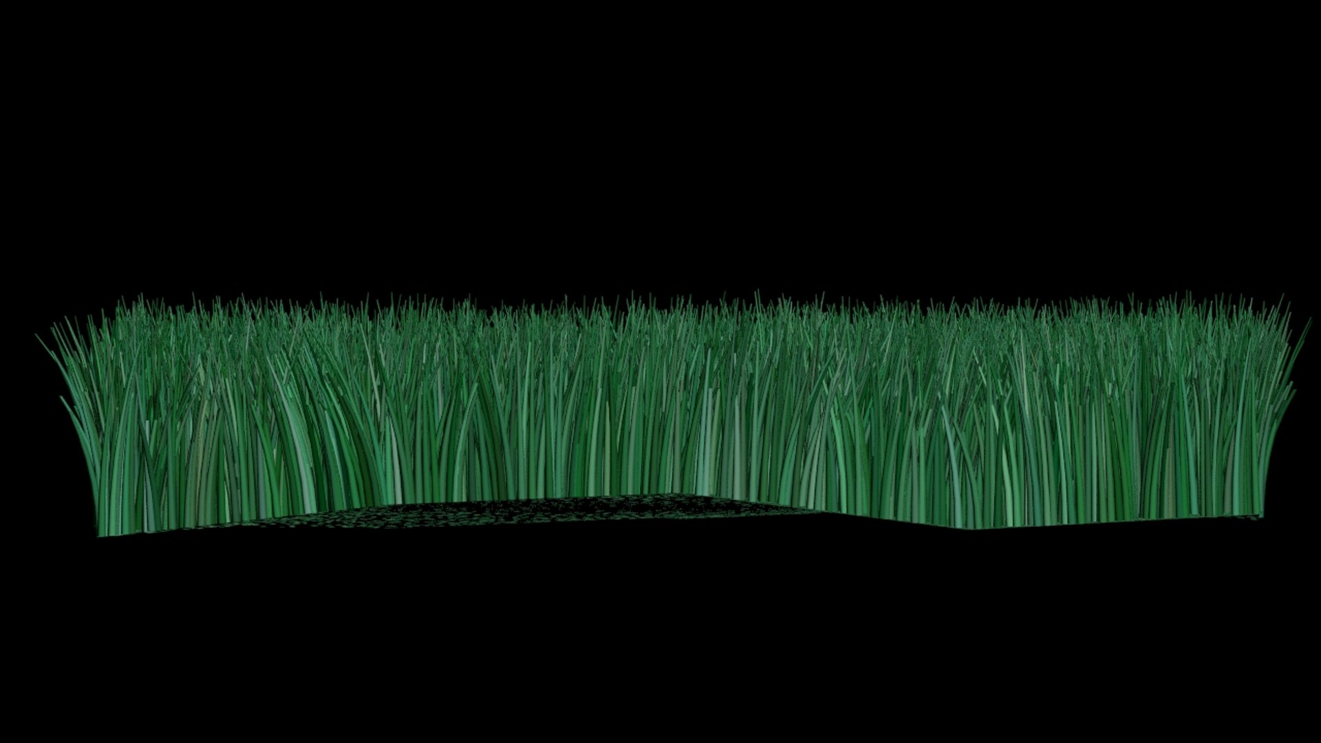 Green Grass 3d Max