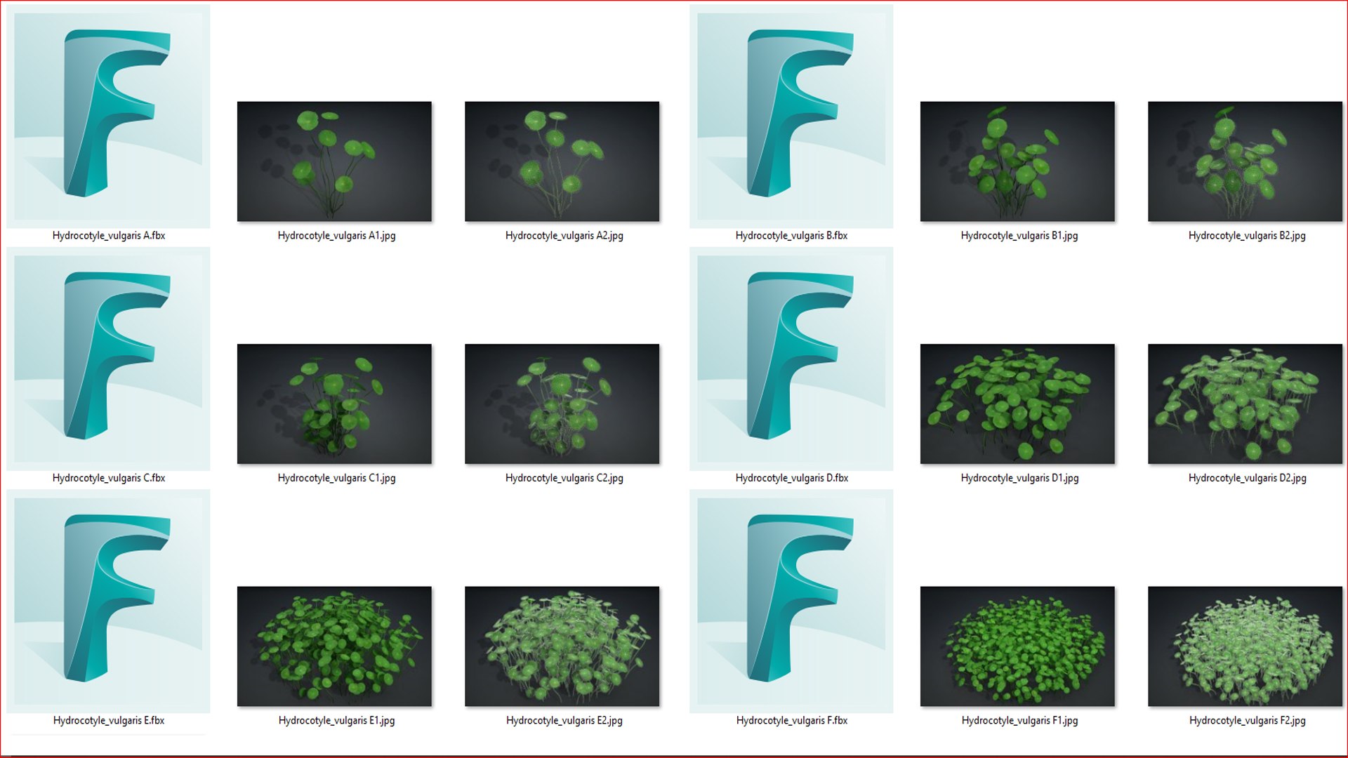 3D Hydrocotyle Vulgaris Model - TurboSquid 2282842