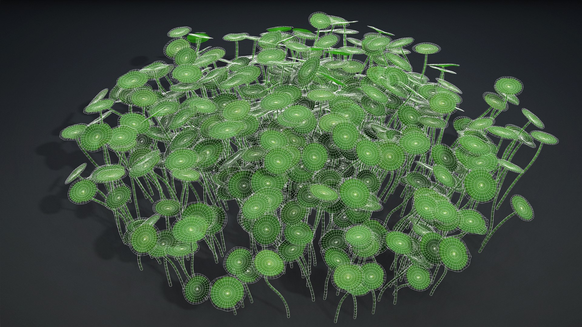 3D Hydrocotyle Vulgaris Model - TurboSquid 2282842