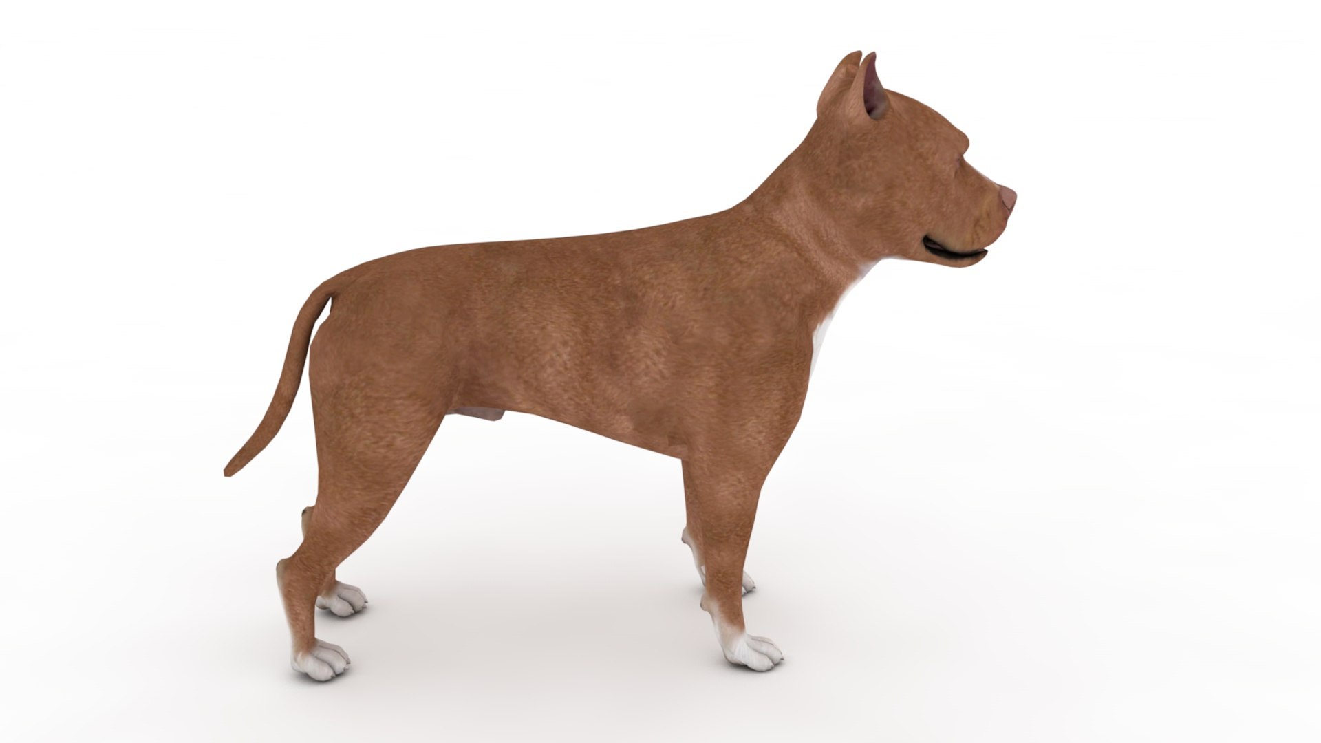 3D Pitbull - TurboSquid 2021976