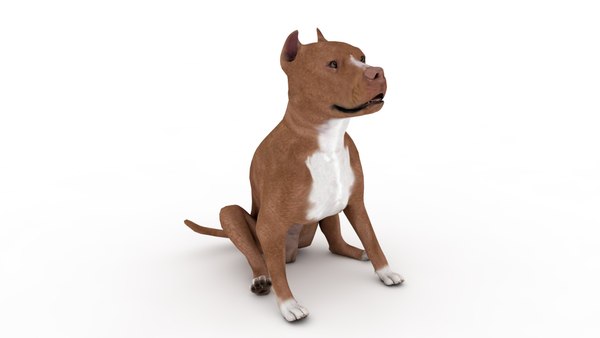 Free 3D Pitbull-Dog Models | TurboSquid