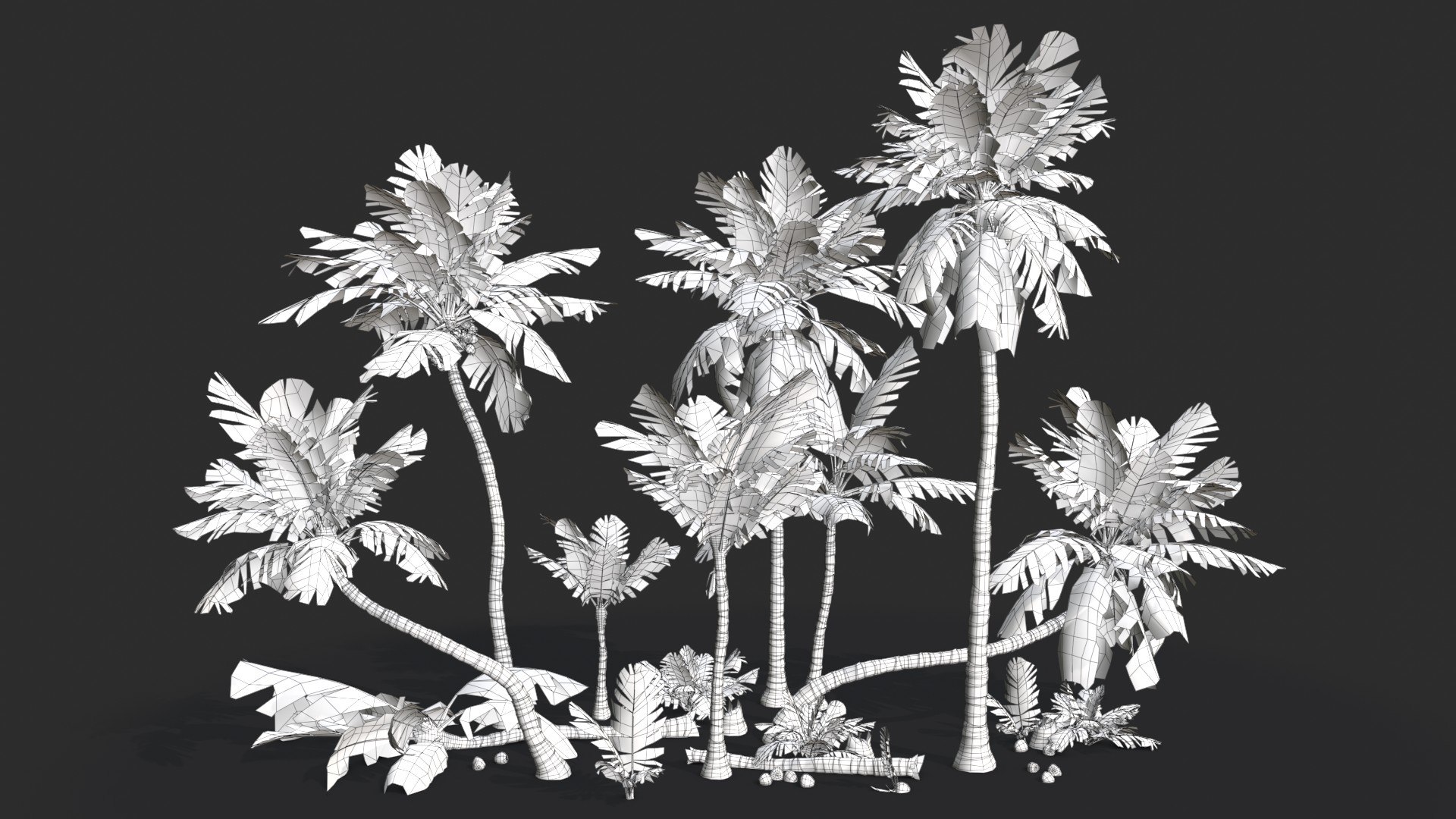 3D model Modular Coconut Palm Trees - Cocos Nucifera - TurboSquid 1982455