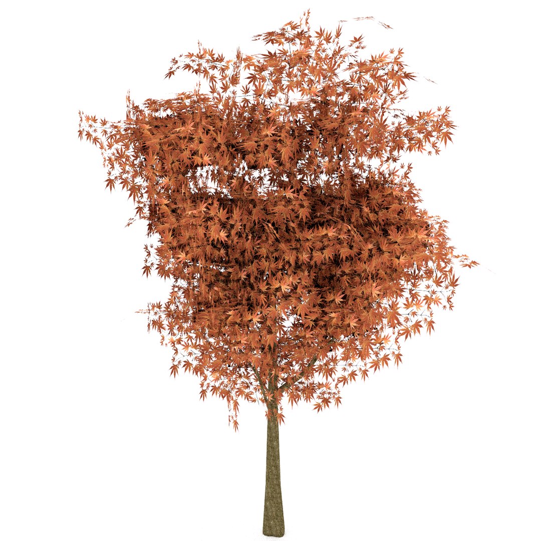 3dsmax Realistic Maple Tree Autumn
