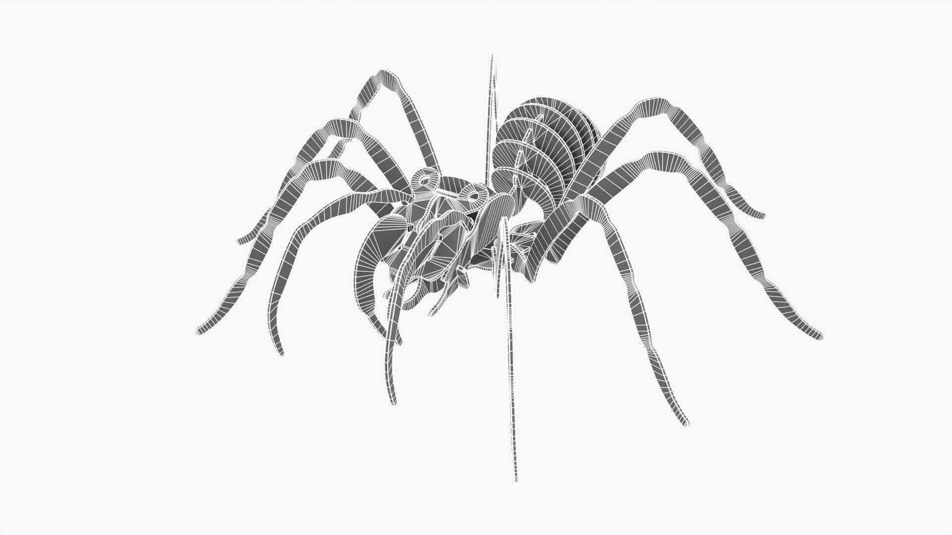 3D Spider Laser Cut - TurboSquid 2005341