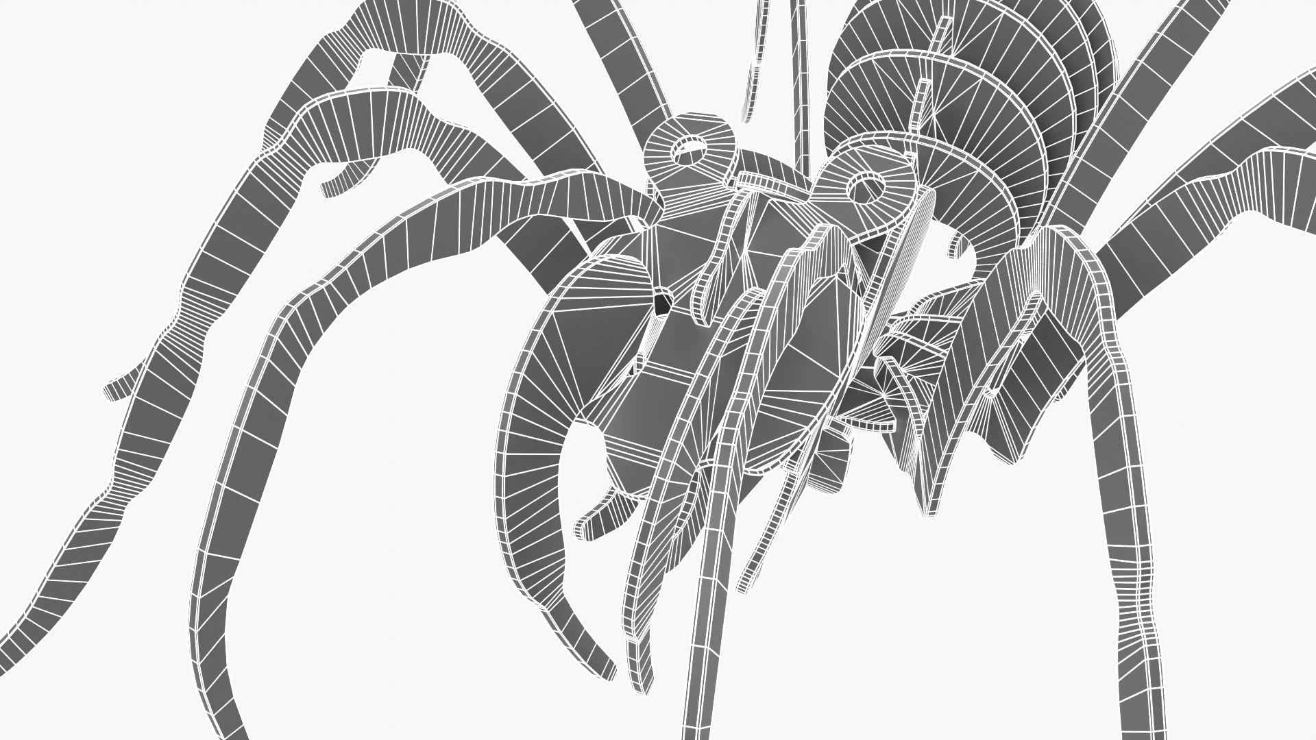 3D Spider Laser Cut - TurboSquid 2005341