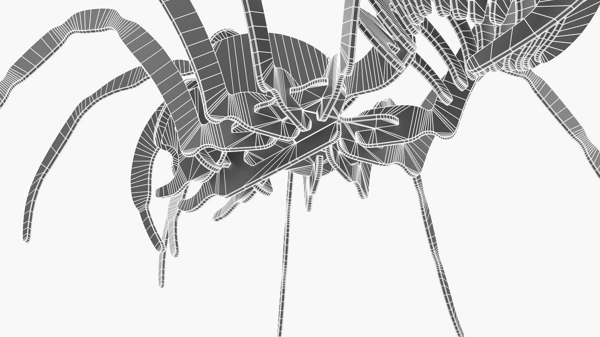 3D Spider Laser Cut - TurboSquid 2005341