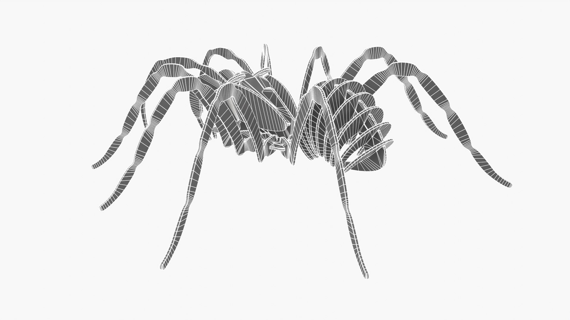 3D Spider Laser Cut - TurboSquid 2005341