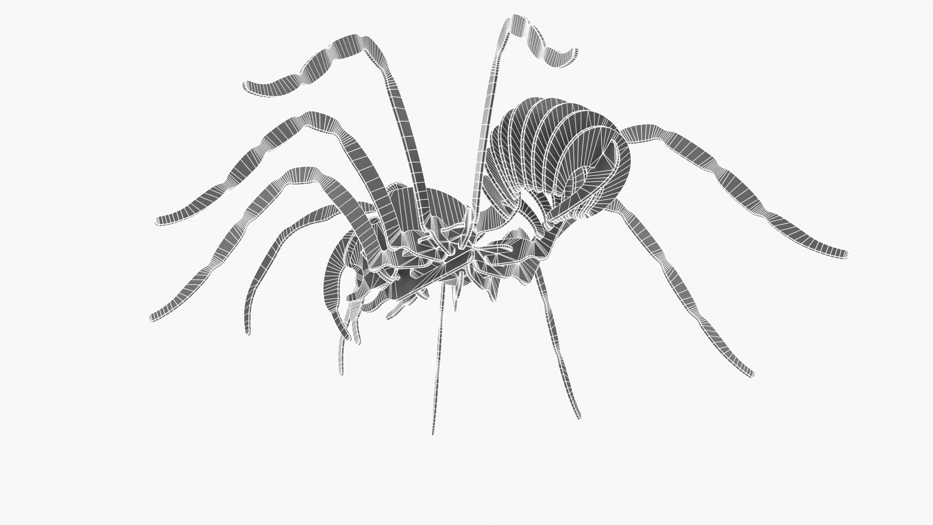 3D Spider Laser Cut - TurboSquid 2005341