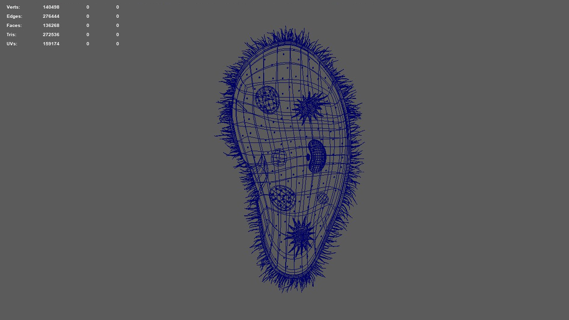 Paramecium Protozoa 3D Model - TurboSquid 2180178