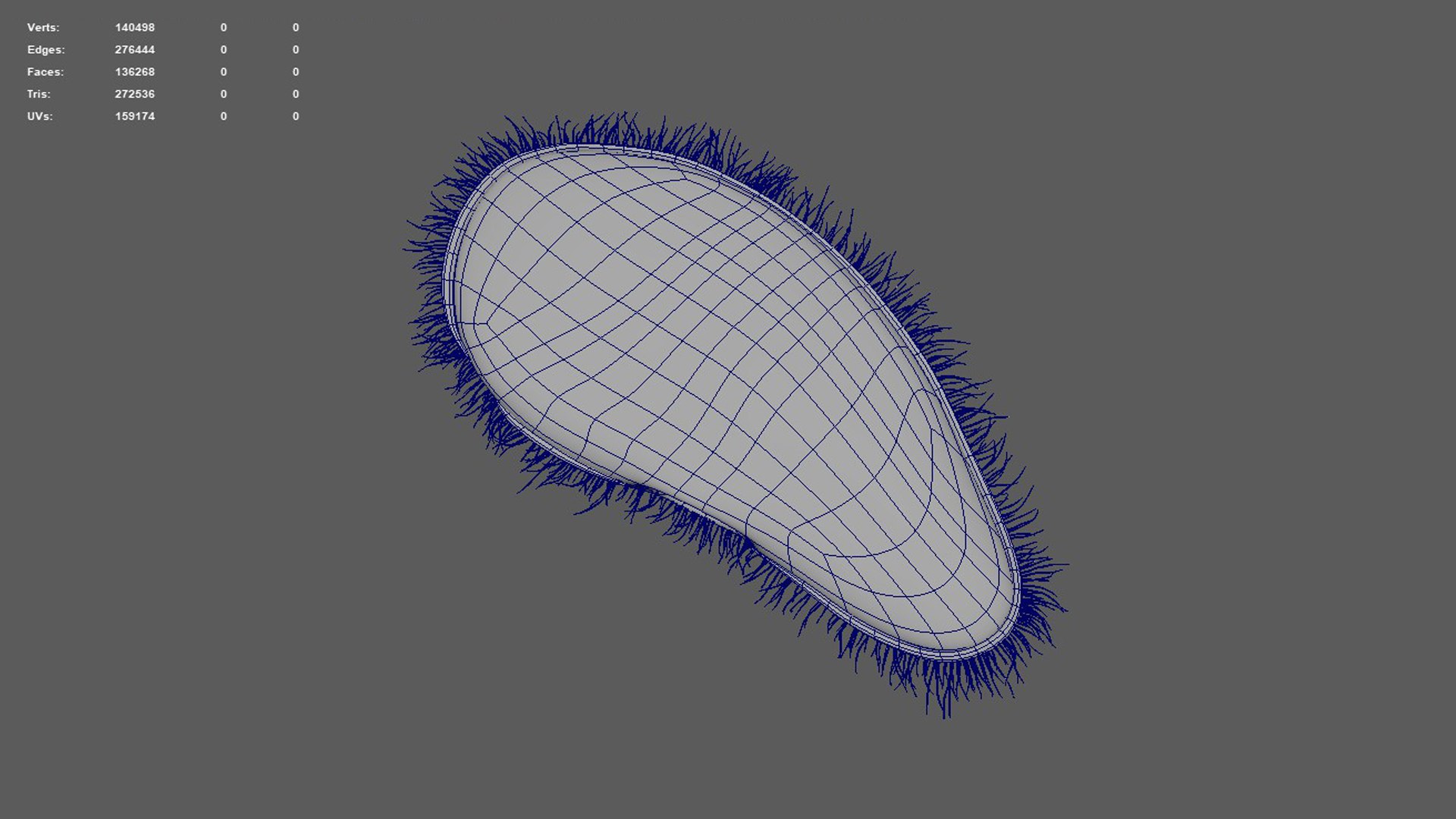 Paramecium Protozoa 3D Model - TurboSquid 2180178