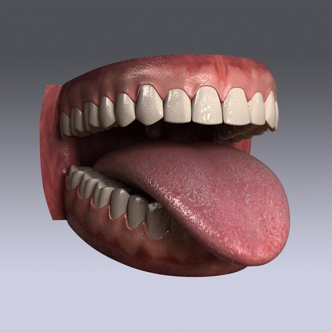 Hu Teeth 3d Model