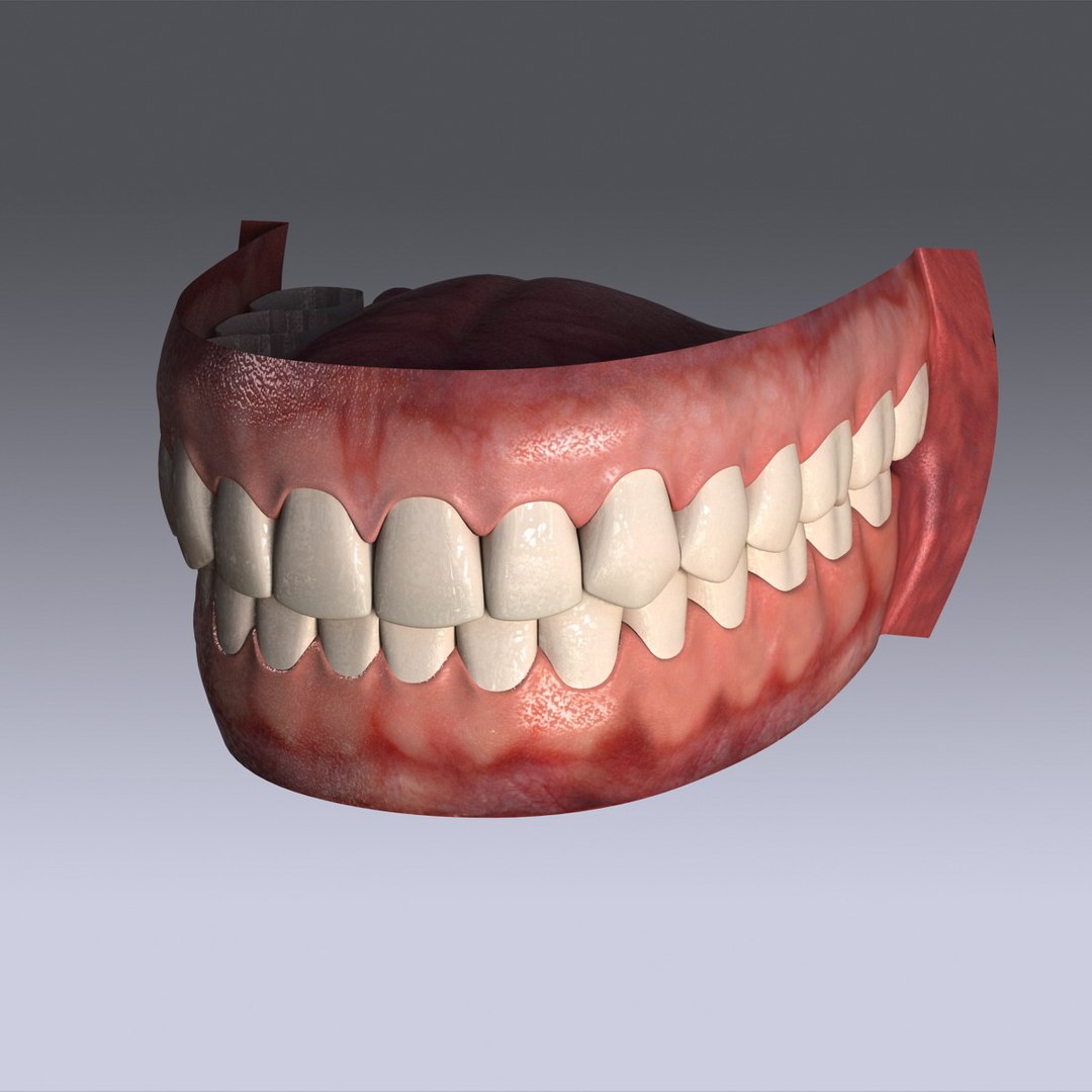 Hu Teeth 3d Model